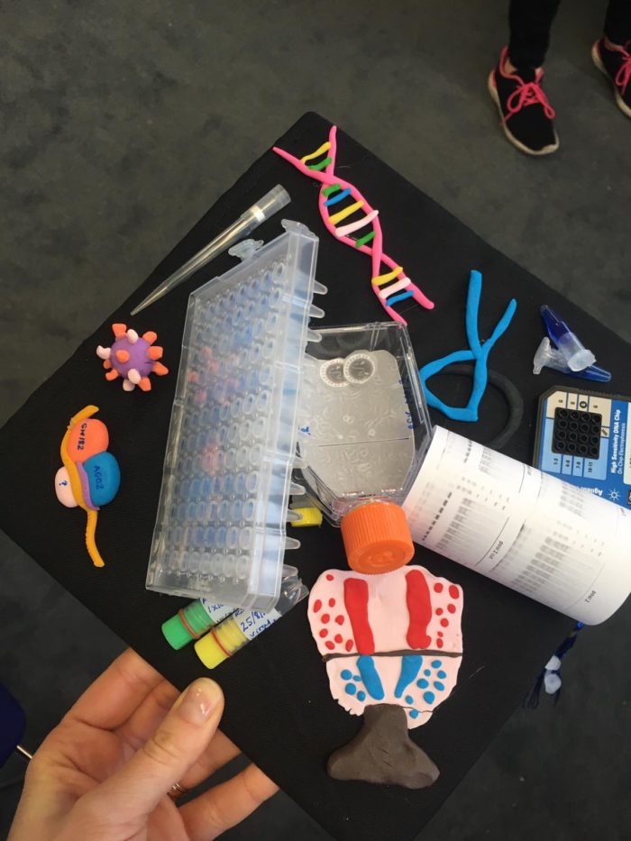 Buck Lab | Congratulations Dr. Ressel!!! Sarah successfully finishes ...